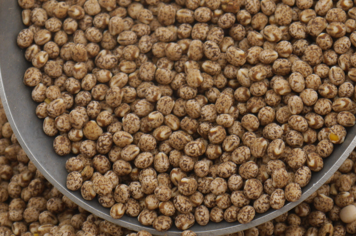 WHOLE LUPIN STOCKFEED – Sustainable Hobby Farm